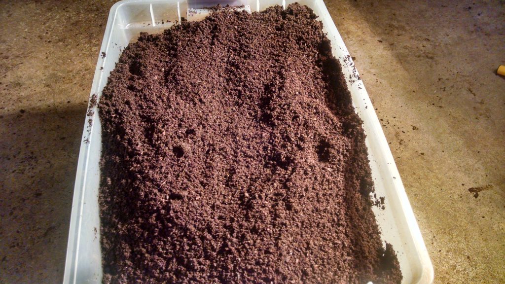 vermi-compost | WormCycle